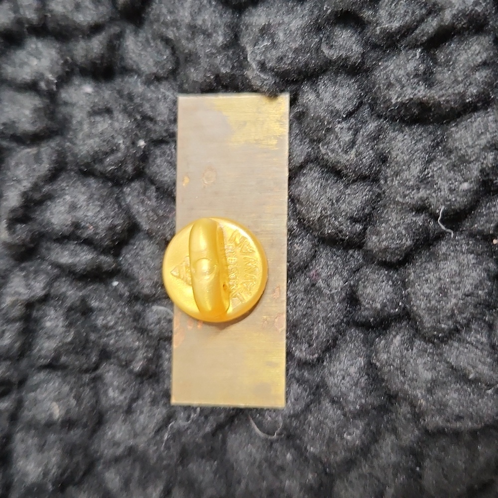 Vintage Collectable 70's 80's Cozumel Mexico Lapel Pin - Gem